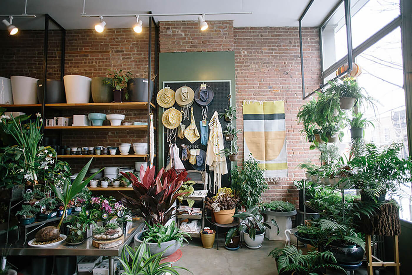 Brooklyn Gardening Shops: 7 of the Borough's Biggest Plant Purveyors ...