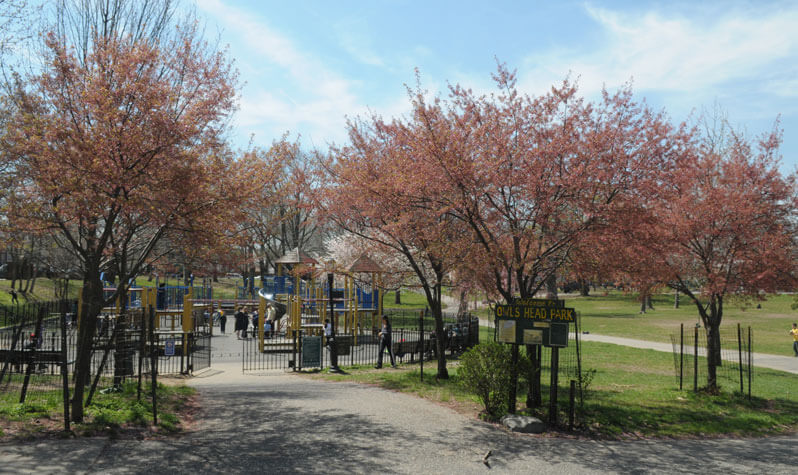 The 3 Best Places to See Brooklyn's Trees in Bloom | Brownstoner