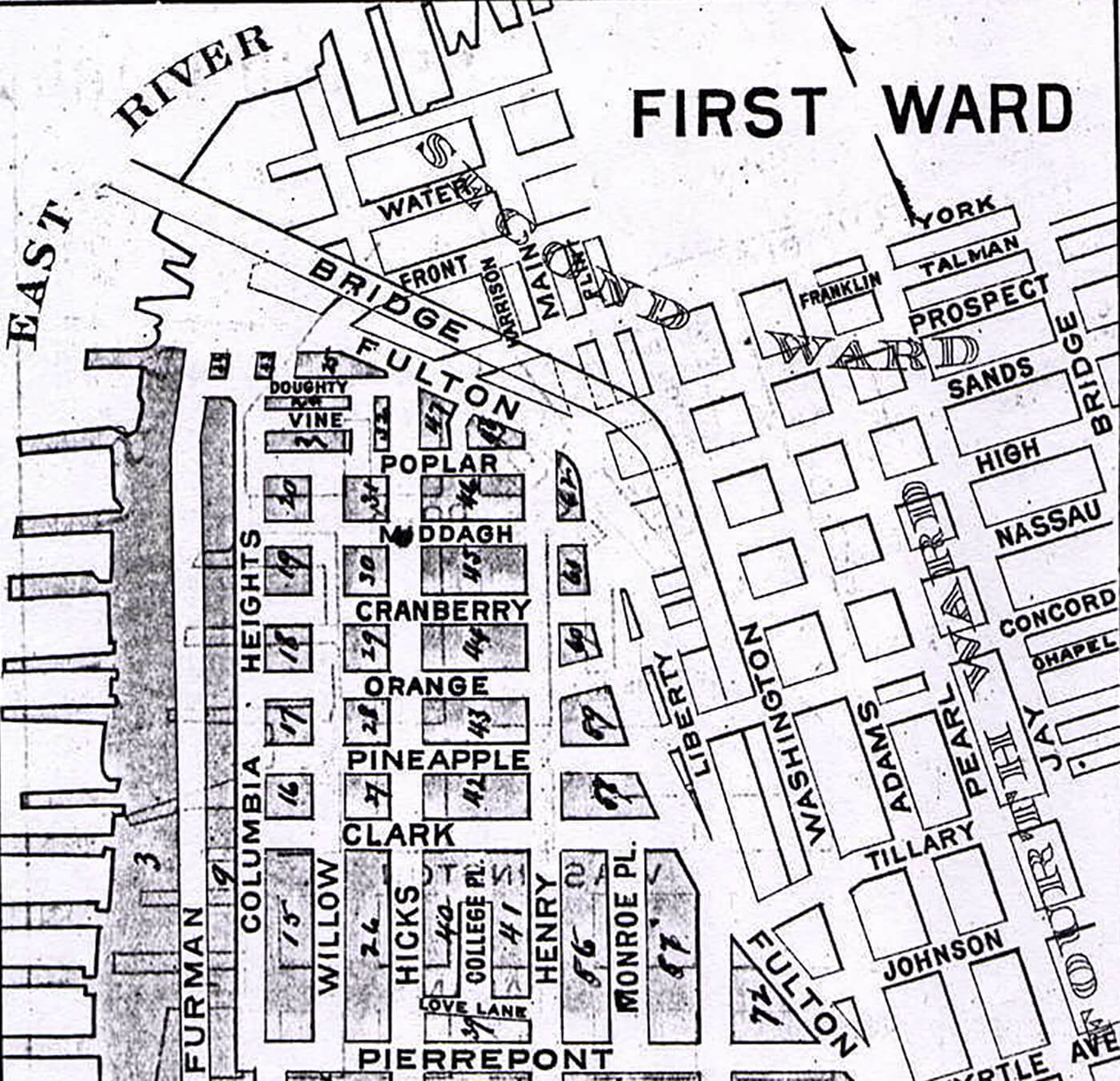 Brooklyn History: Wards, Former Borough Voting and Electoral Districts