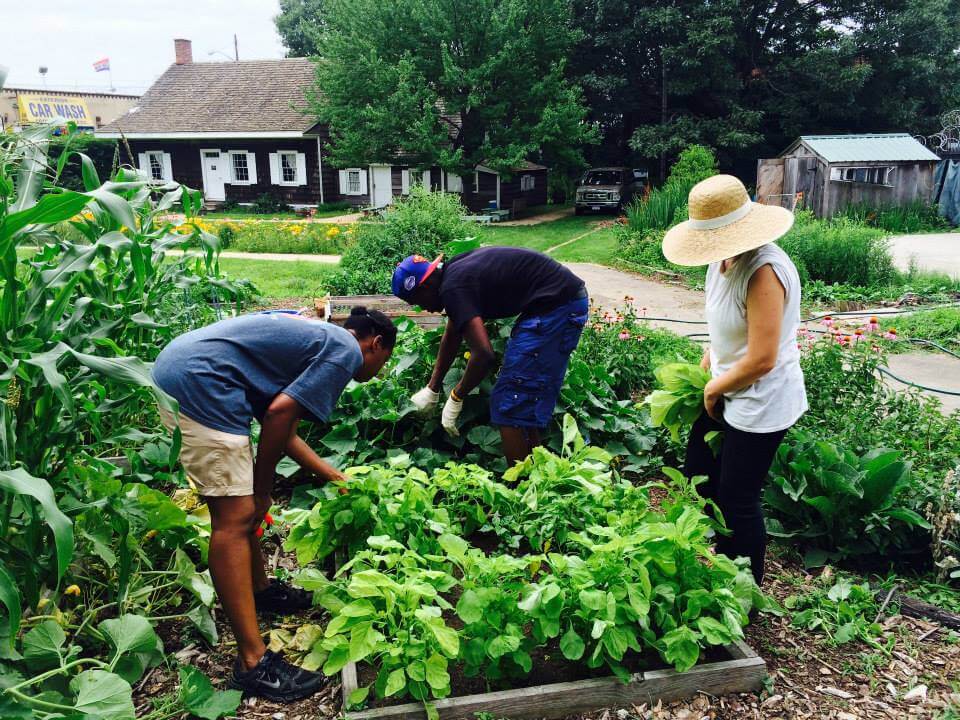 Raised Beds and Planters Key to Gardening in Brooklyn