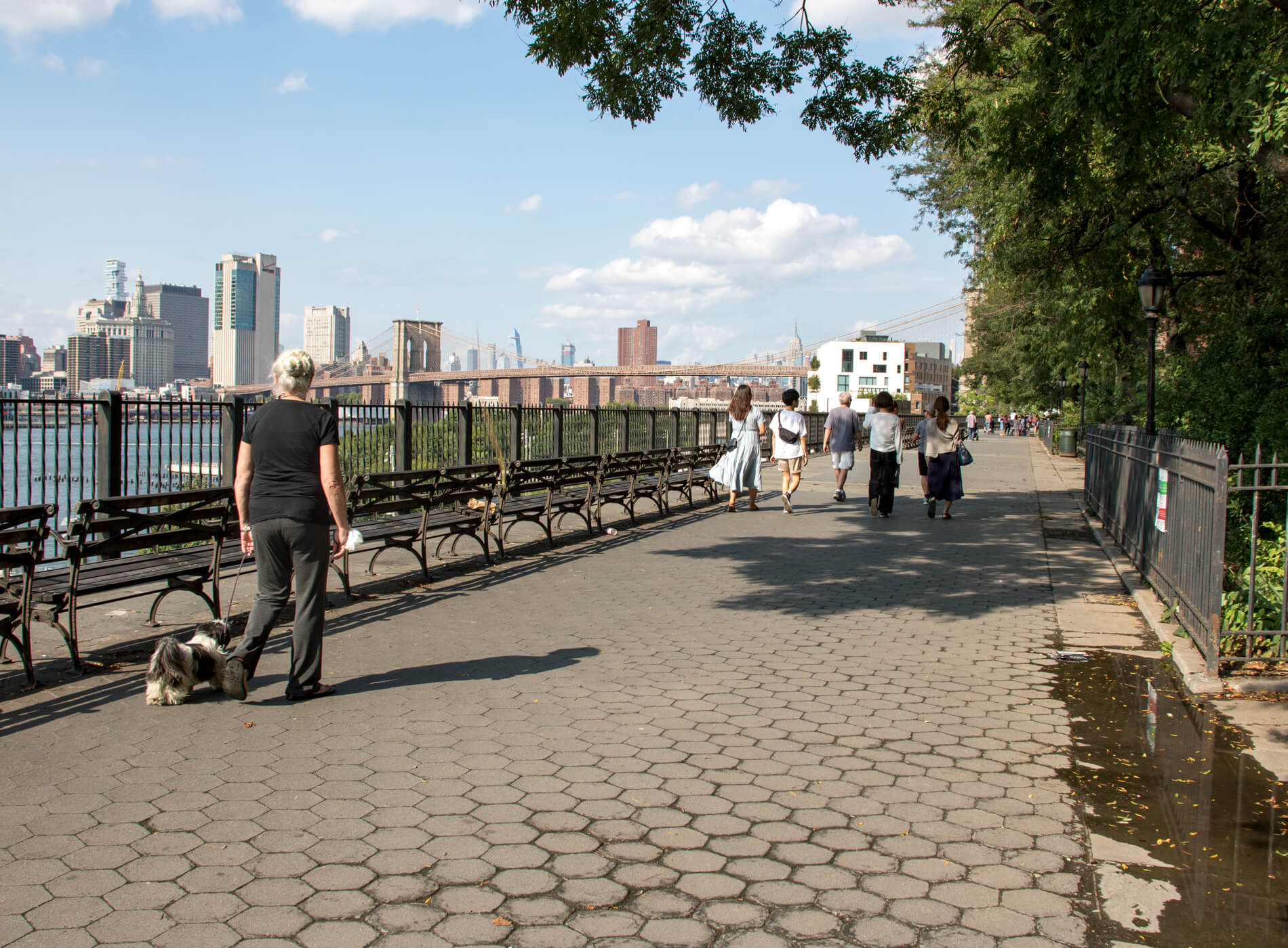 Brooklyn Heights Promenade Turns 68