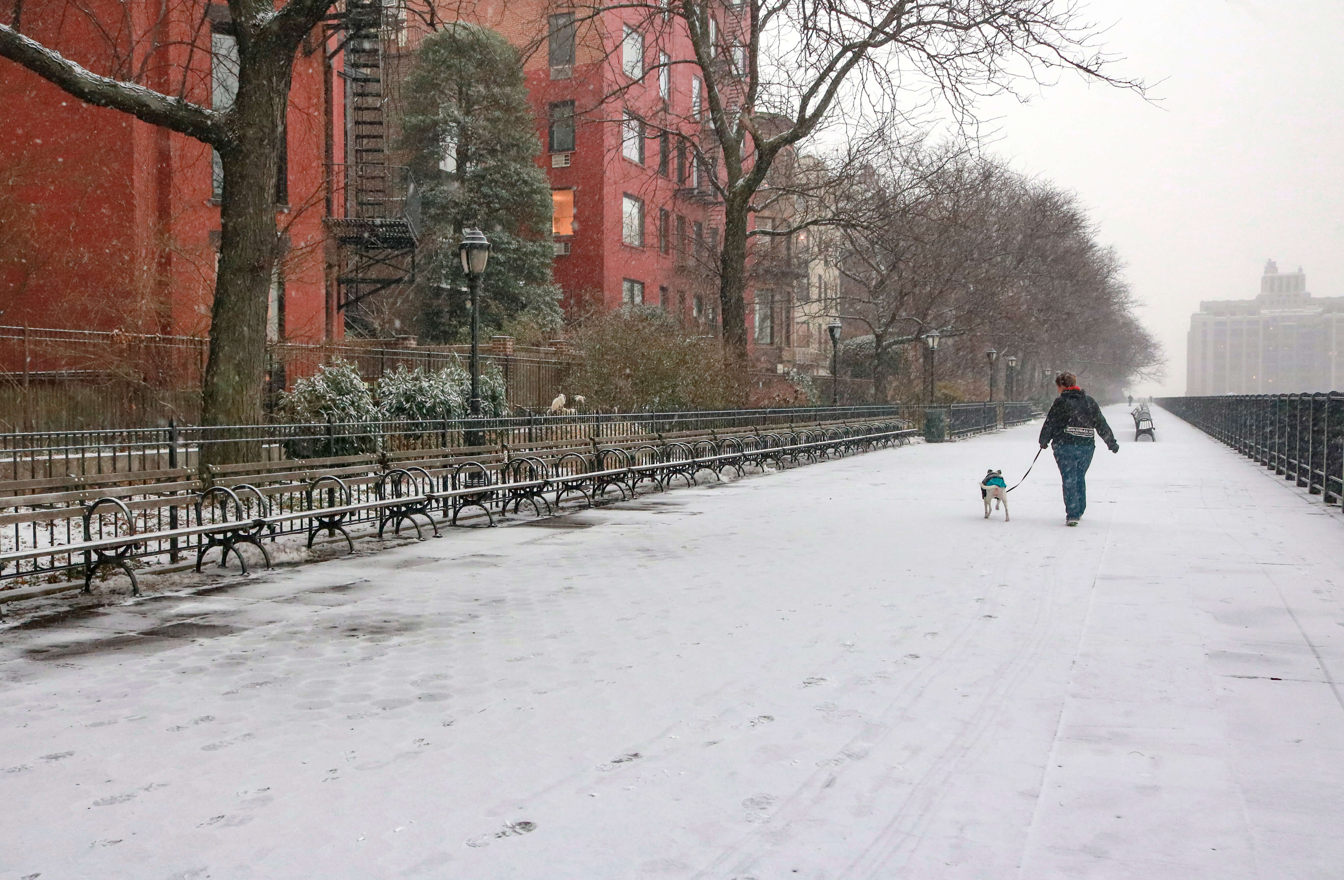 The Story of Brooklyn’s Grand Stage, the Brooklyn Heights Promenade