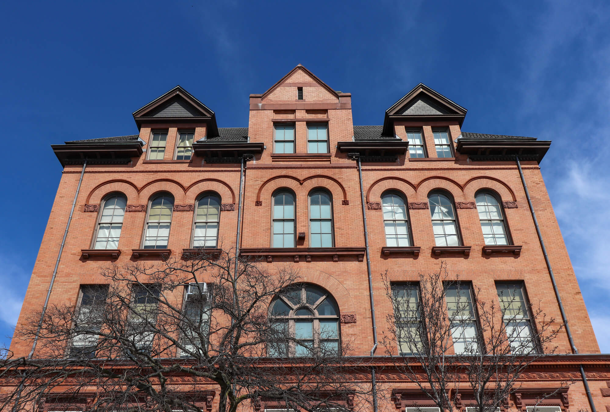 5 Tales of Brooklyn Schools