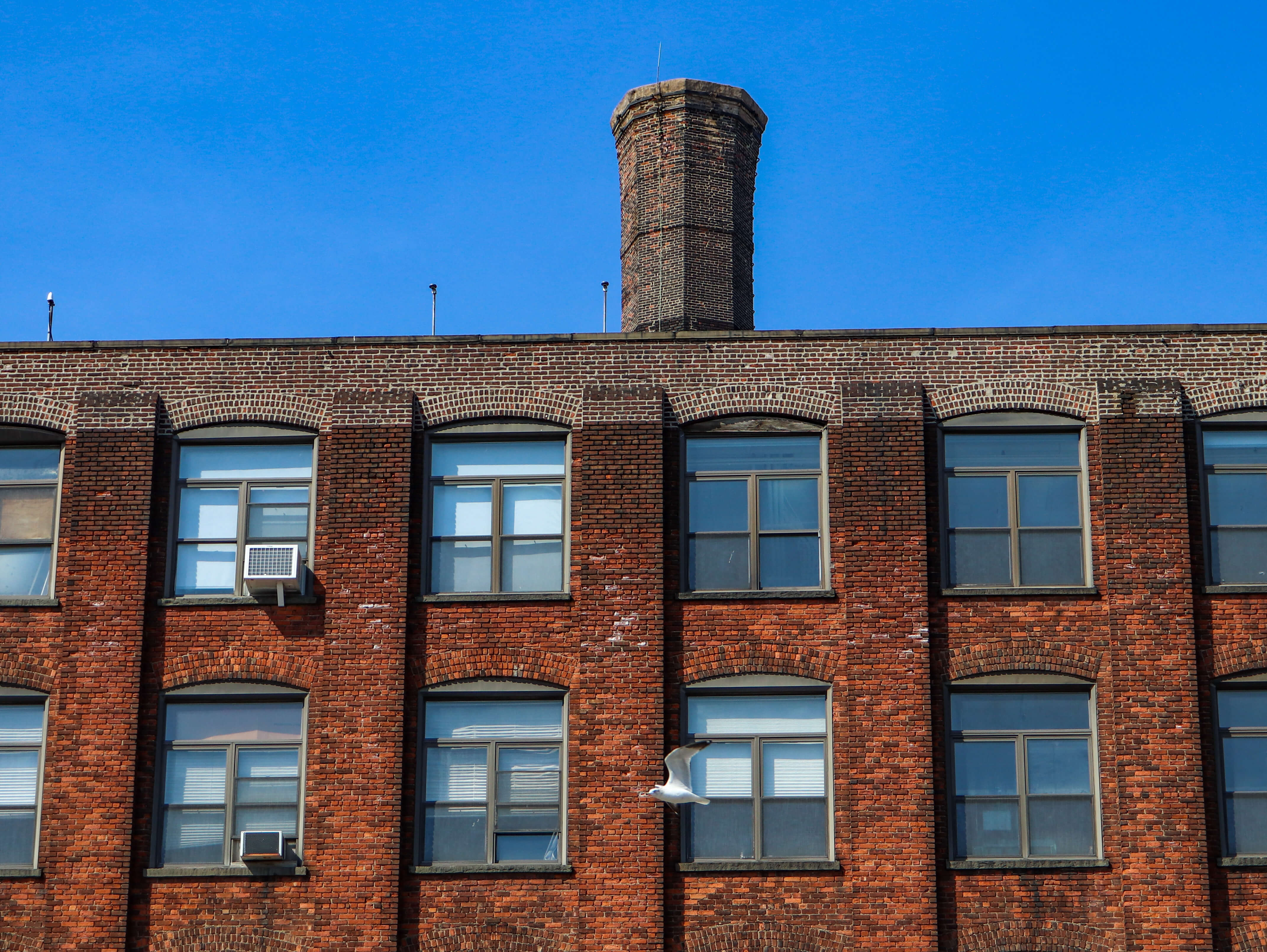 From Rope Making to Artists and Small Business: The Greenpoint ...