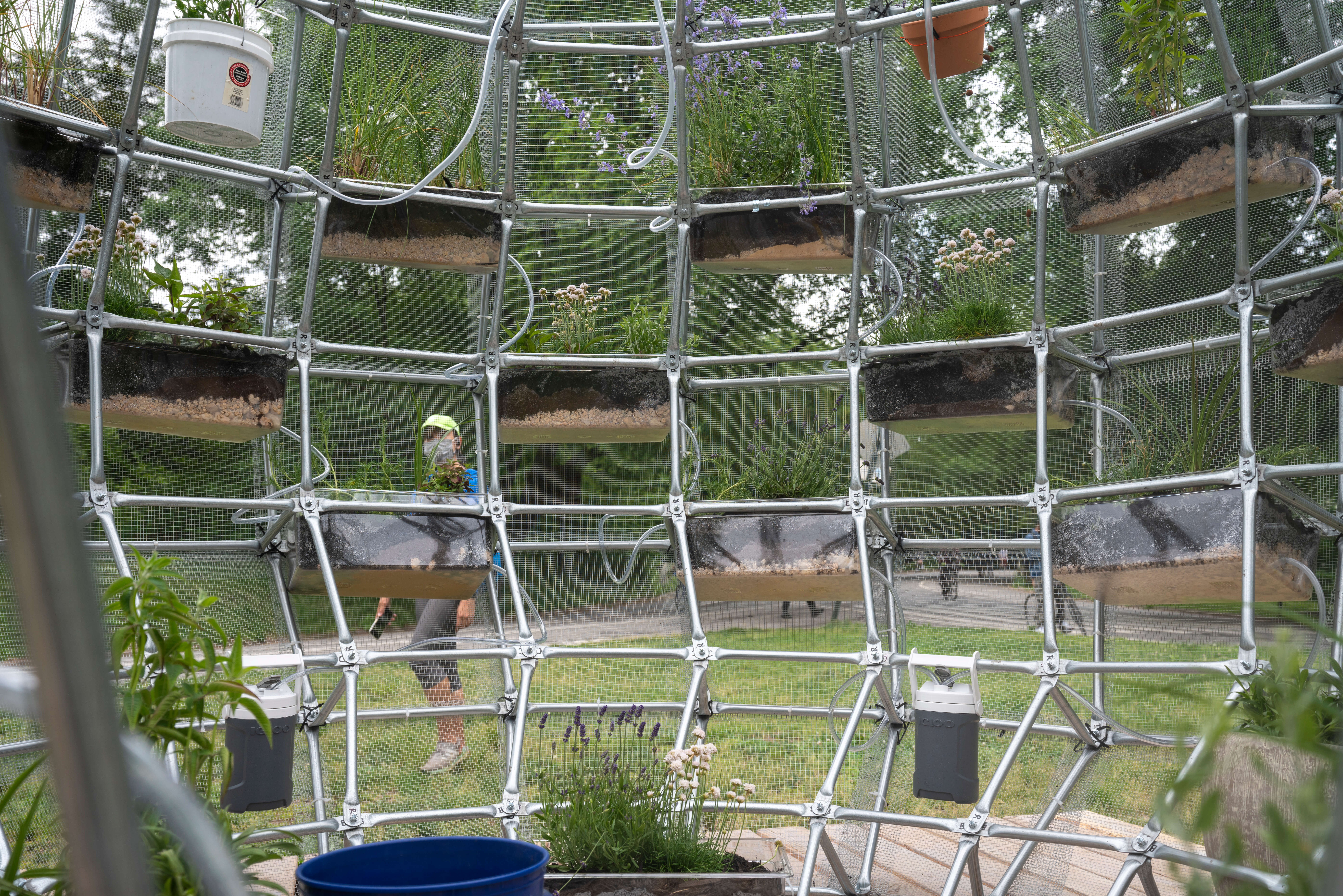 Prospect Park Installation From Artist Mary Mattingly Addresses City’s ...