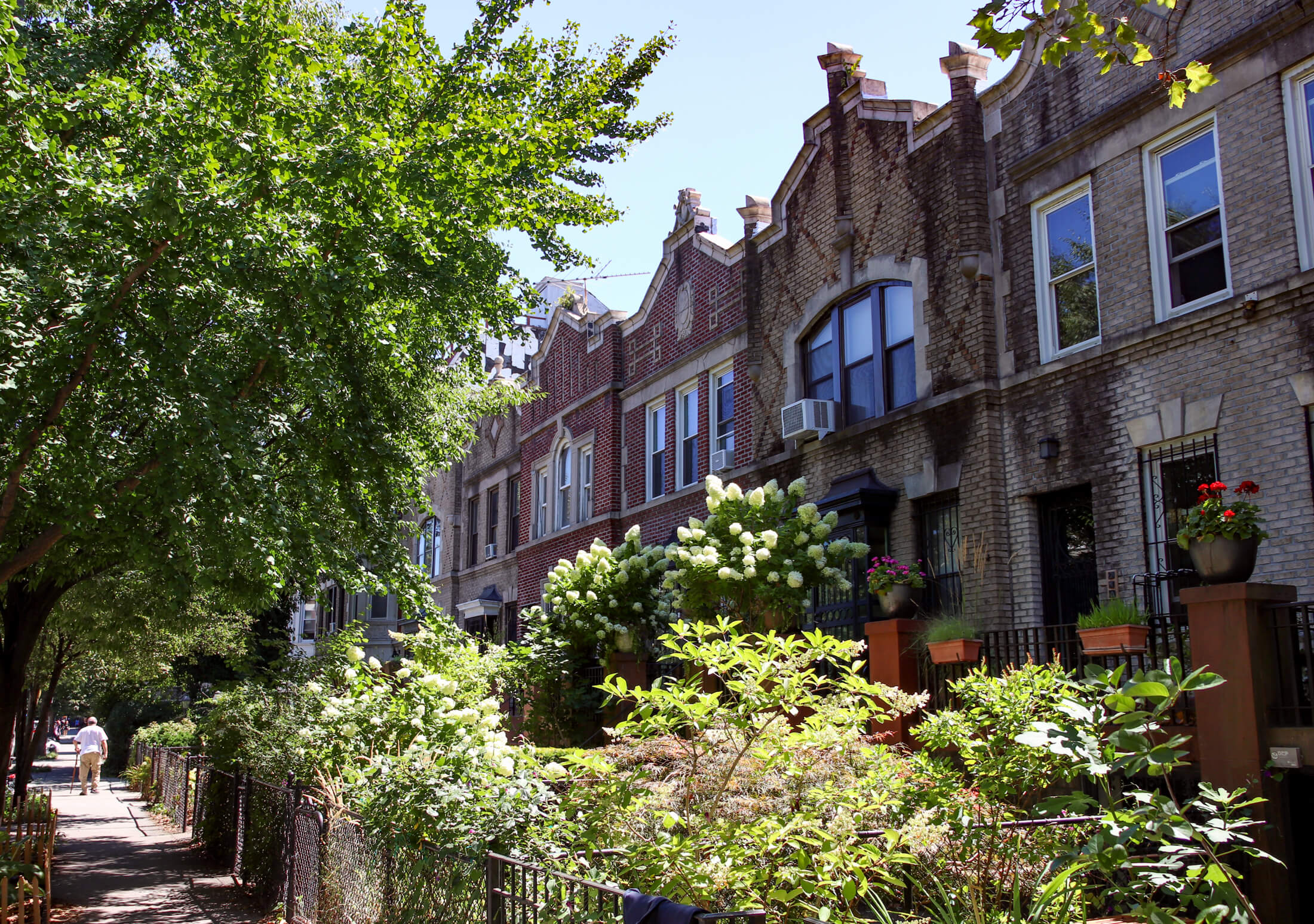 ‘Remarkably Cohesive’ Prospect Lefferts Gardens Rows With Kinko Houses ...