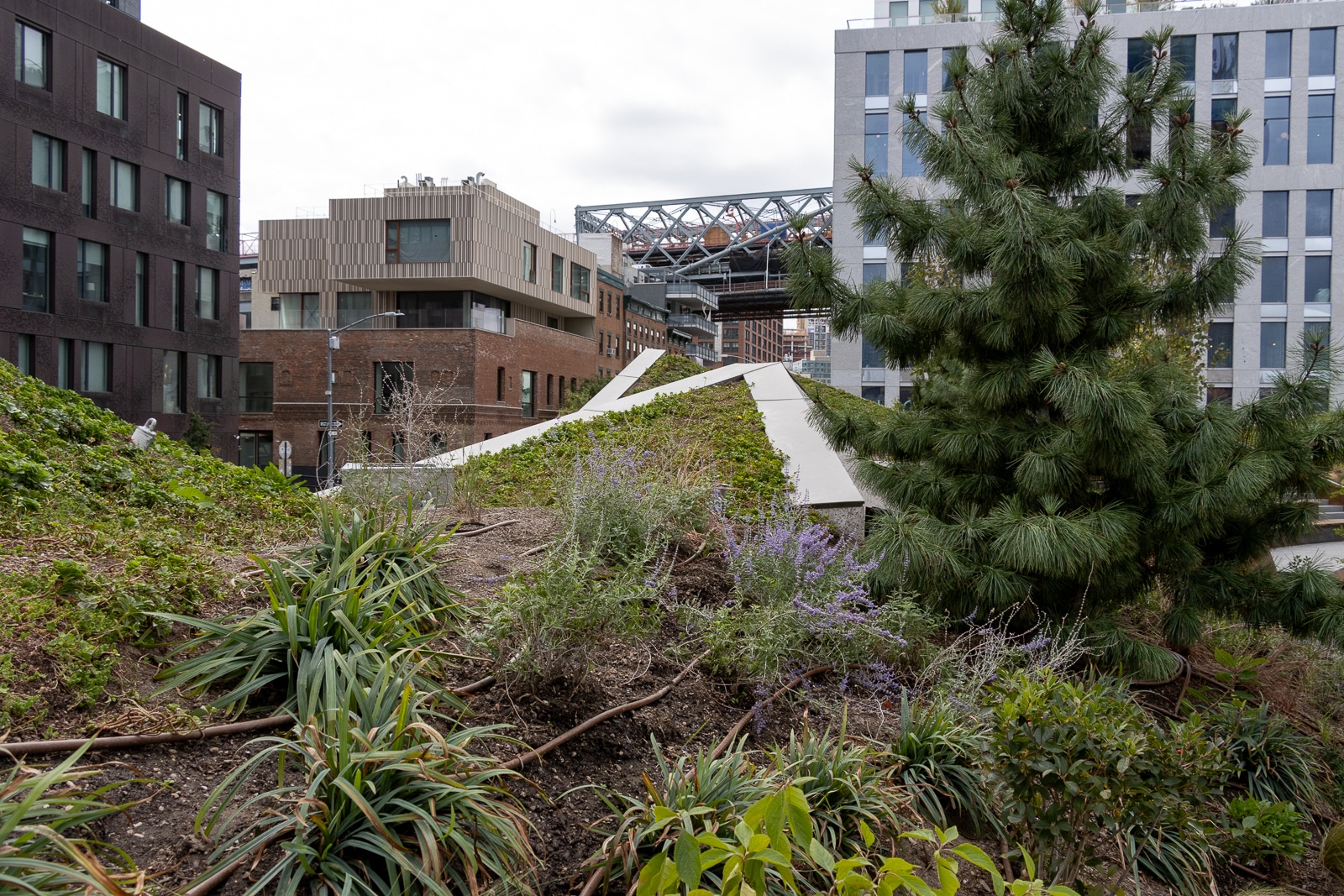 Domino Square Public Plaza Opens on Williamsburg Waterfront