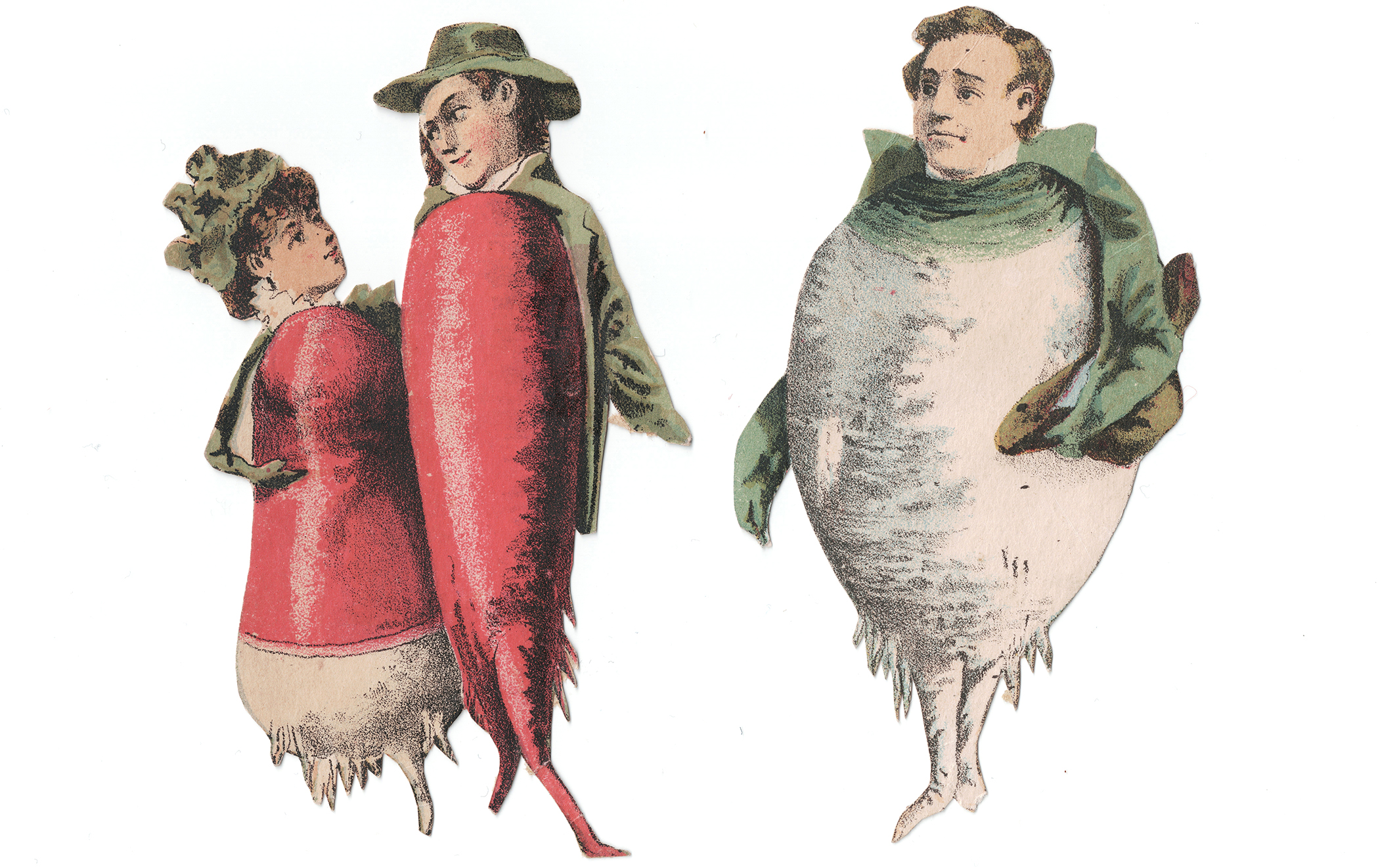 Jerome B. Rice's Washington County Mansion, Yours for $850K